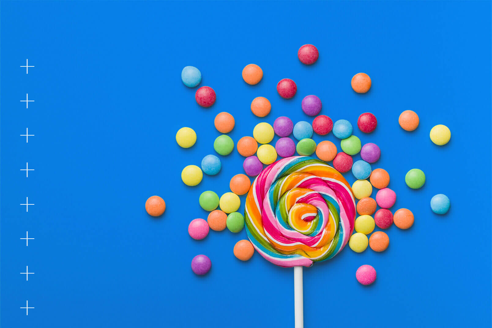 IDEXX Animana Release Highlights: Version 7.4 - IDEXX Software